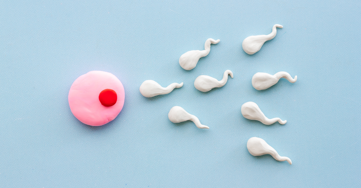 How Weight Stigma Impacts Fertility Care – Dietetically Speaking